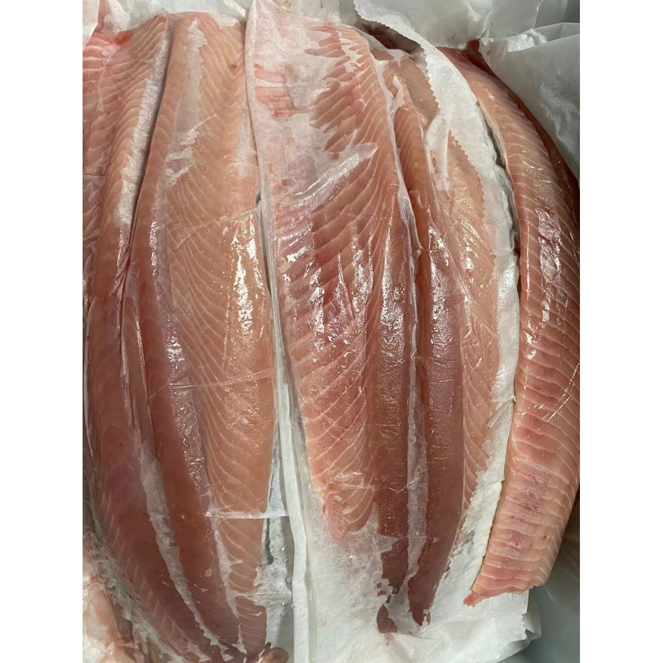 Boneless Shad fillet - Weee!