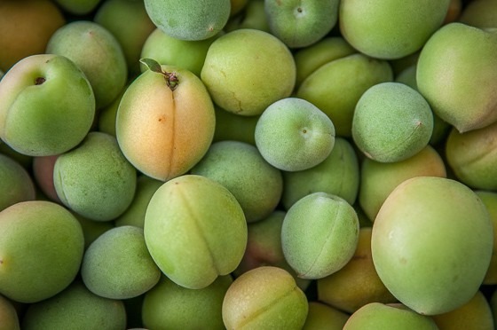 [Purchasing] UME - Weee!