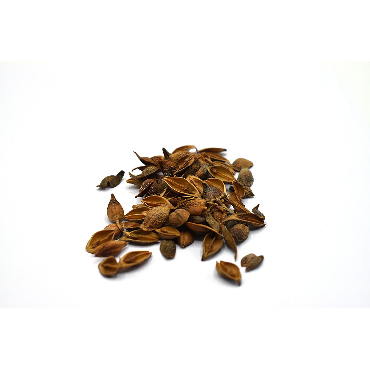 LIAN QIAO - 连翘 - Forsythia Fruit - Custom Amount 100g - Weee!