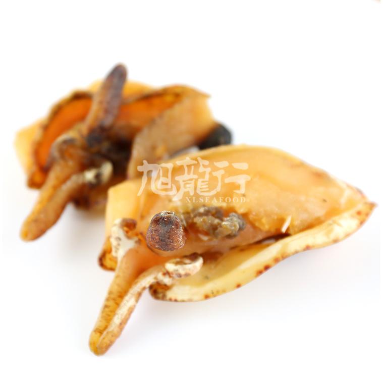 Get XLSEAFOOD Sun Dried South Africa Sea Conch meat AAAA Grade 227g ...