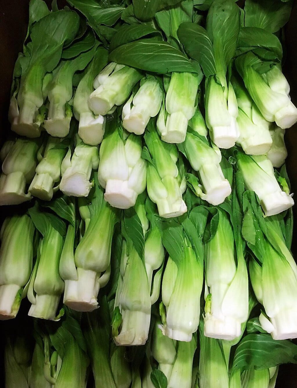 Fresh shanghai sum - Weee!