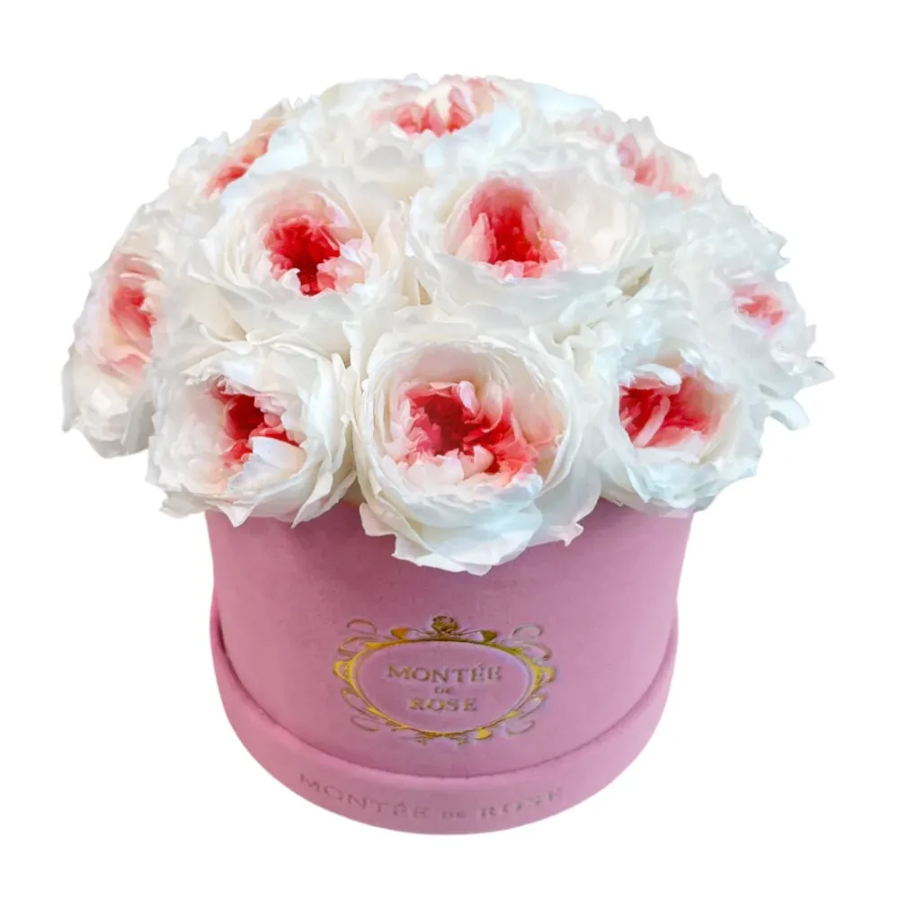 Get Pink Suede Peony Dome Two-toned Delivered | Weee! Asian Market