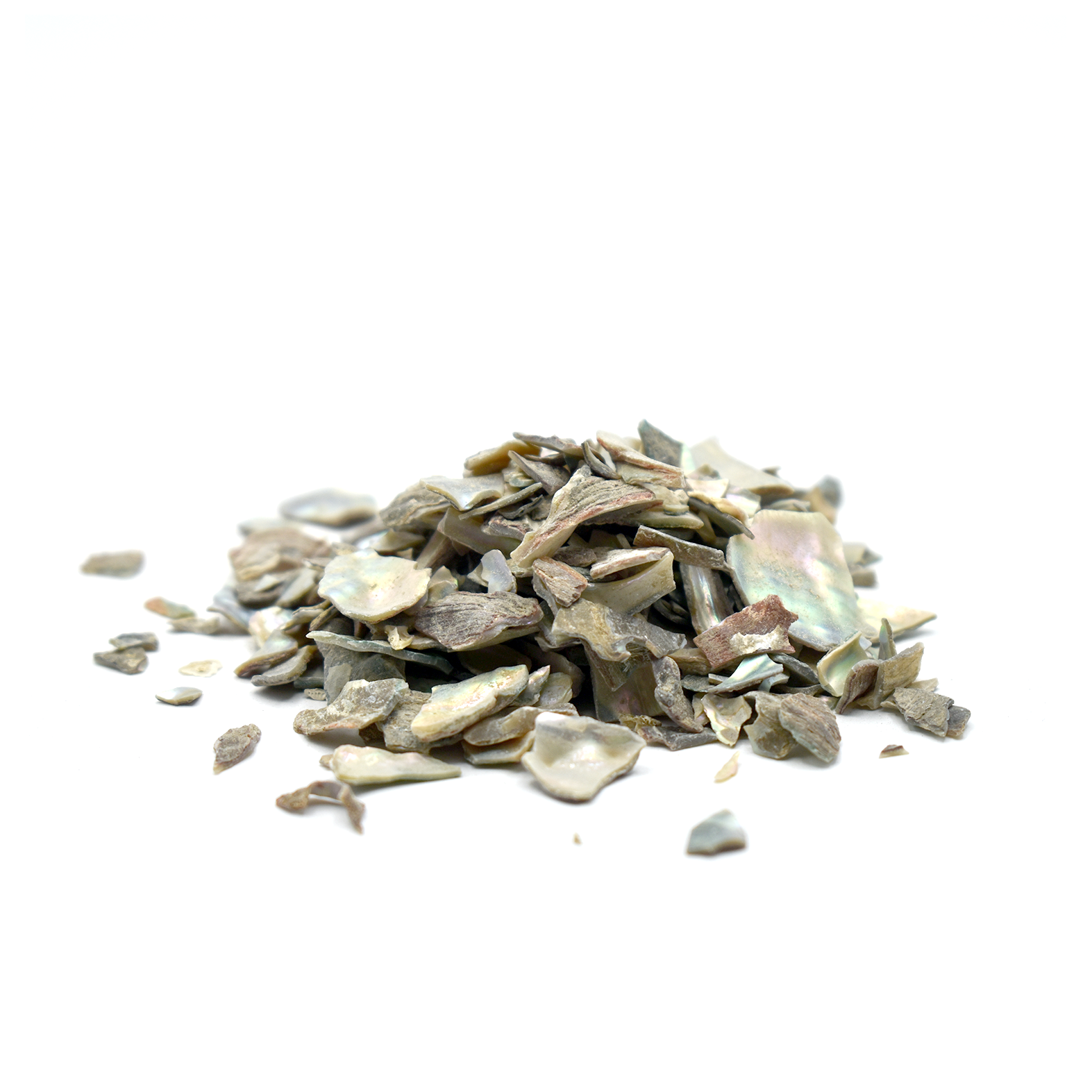 SHI JUE MING - 石决明 - Abalone Shell - Custom Amount 100g - Weee!