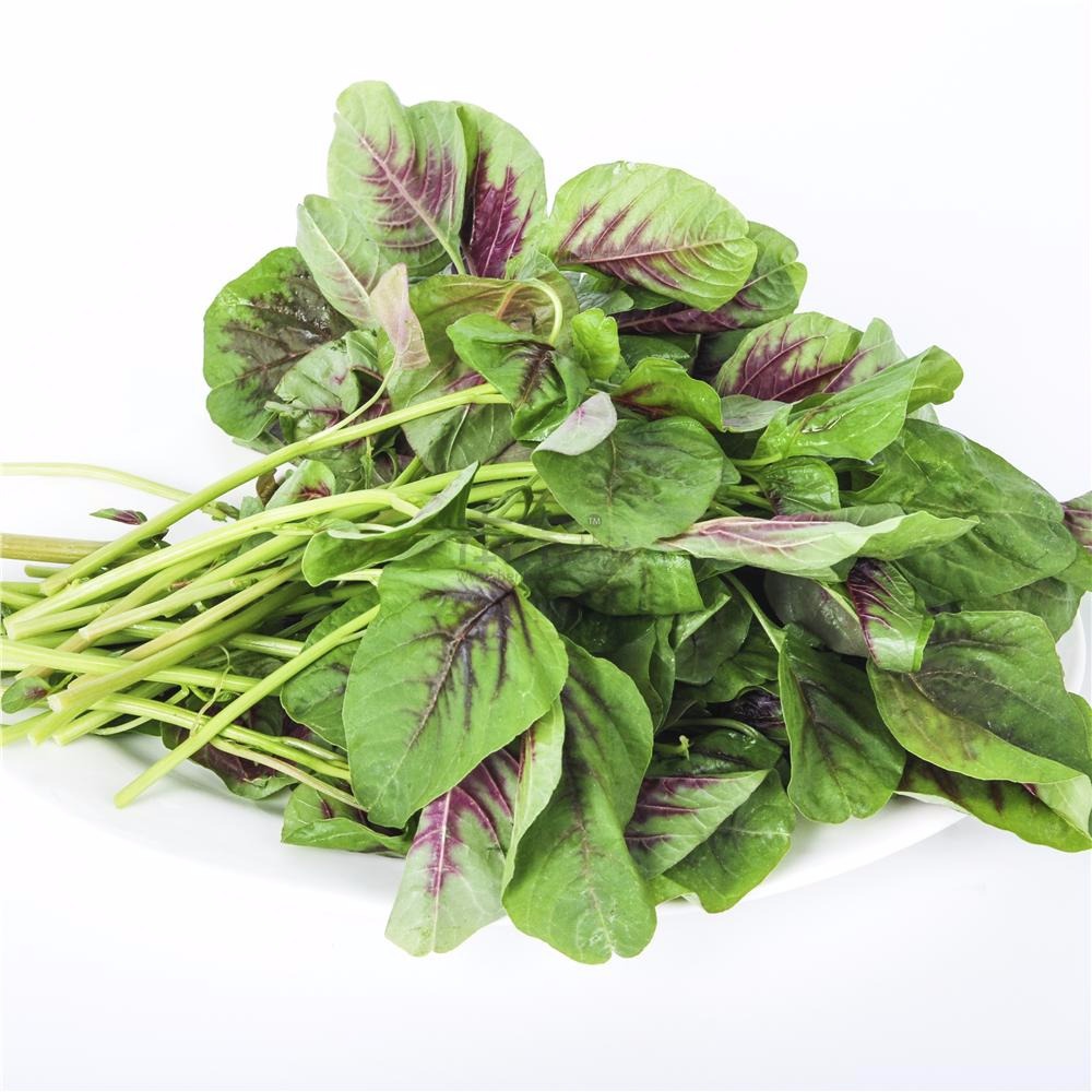 Red Shen Choy 1lb - Weee!