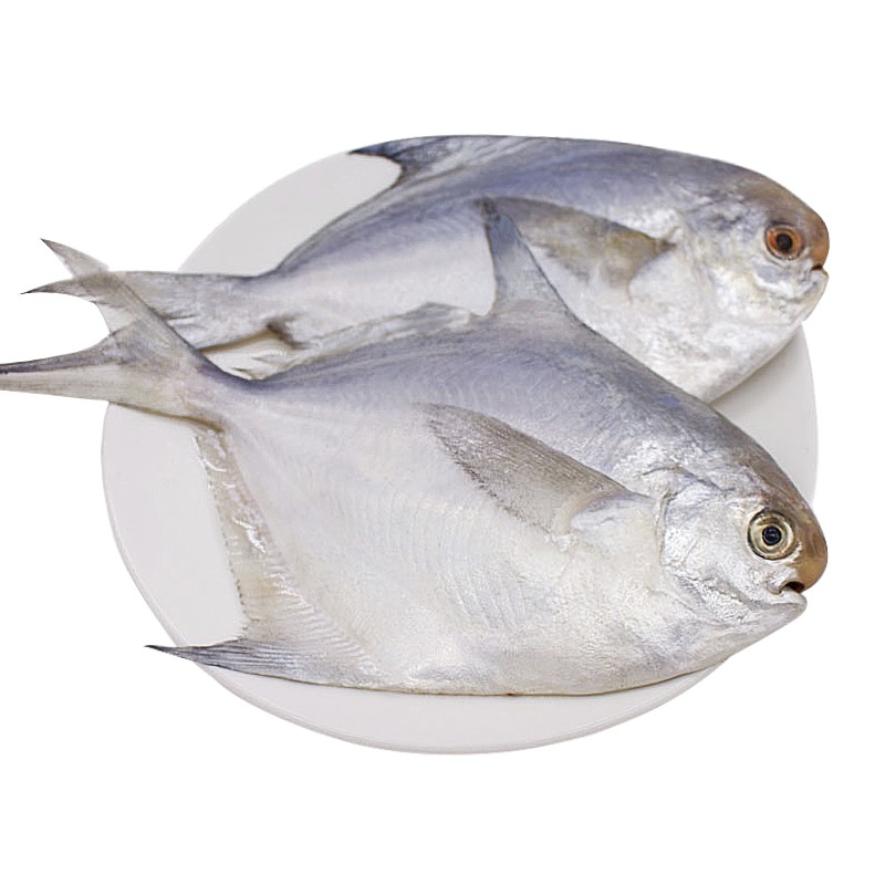 【Ocean Fresh Seafood】Frozen Pomfret 1 lb - Weee!