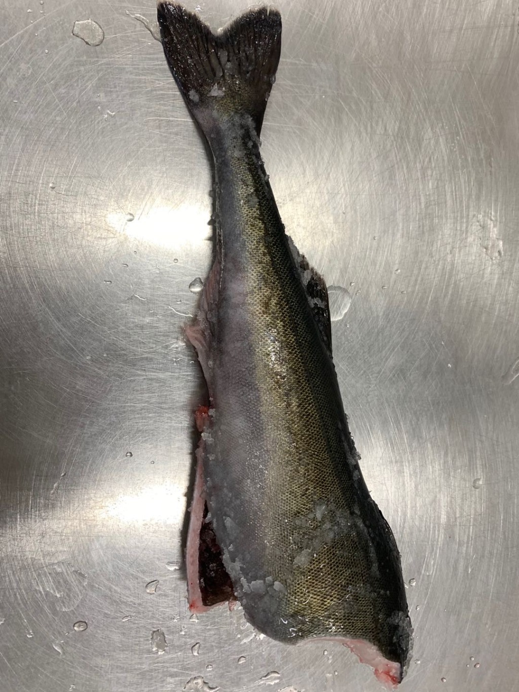 Black Cod Fish Head