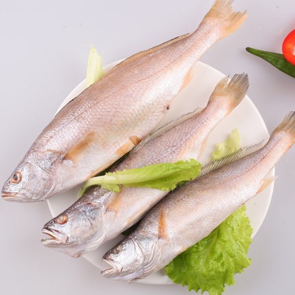 Get Bangamary Fish, Frozen 4-5ct Delivered | Weee! Asian Market