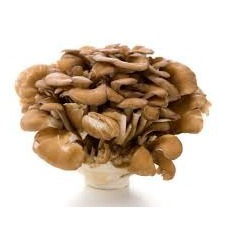 Hokto Organic USA Maitake Mushrooms - Weee!