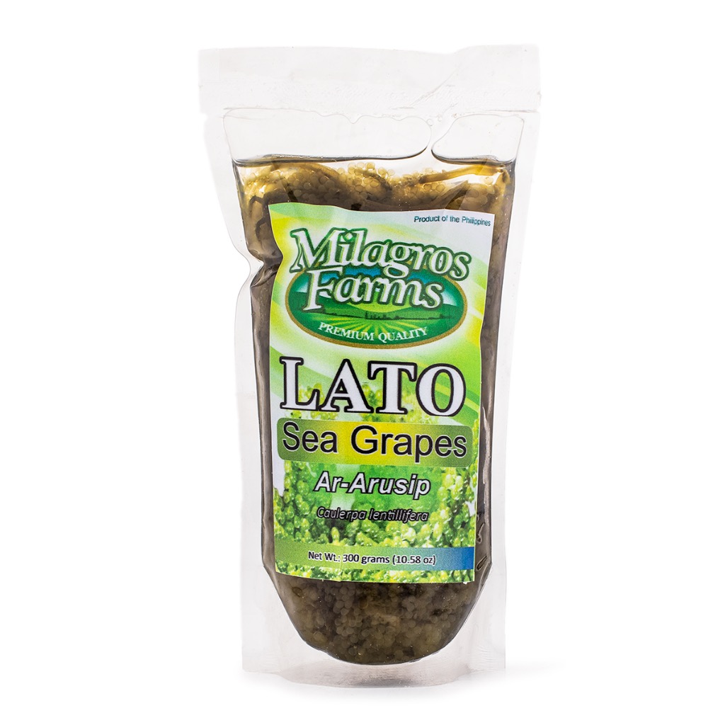 Get Milagros Farms Sea Grapes, Lato Delivered | Weee! Asian Market