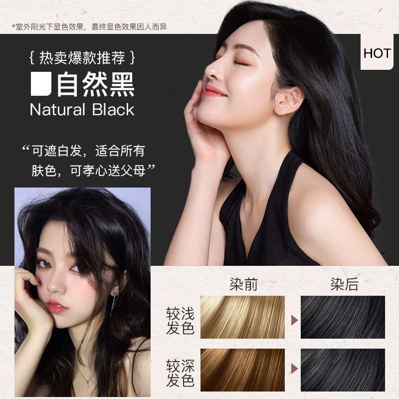 Get Jiang Xiao Cai Hair dye Lazy Bubble Hair Dye Hair Color Black 300ml ...