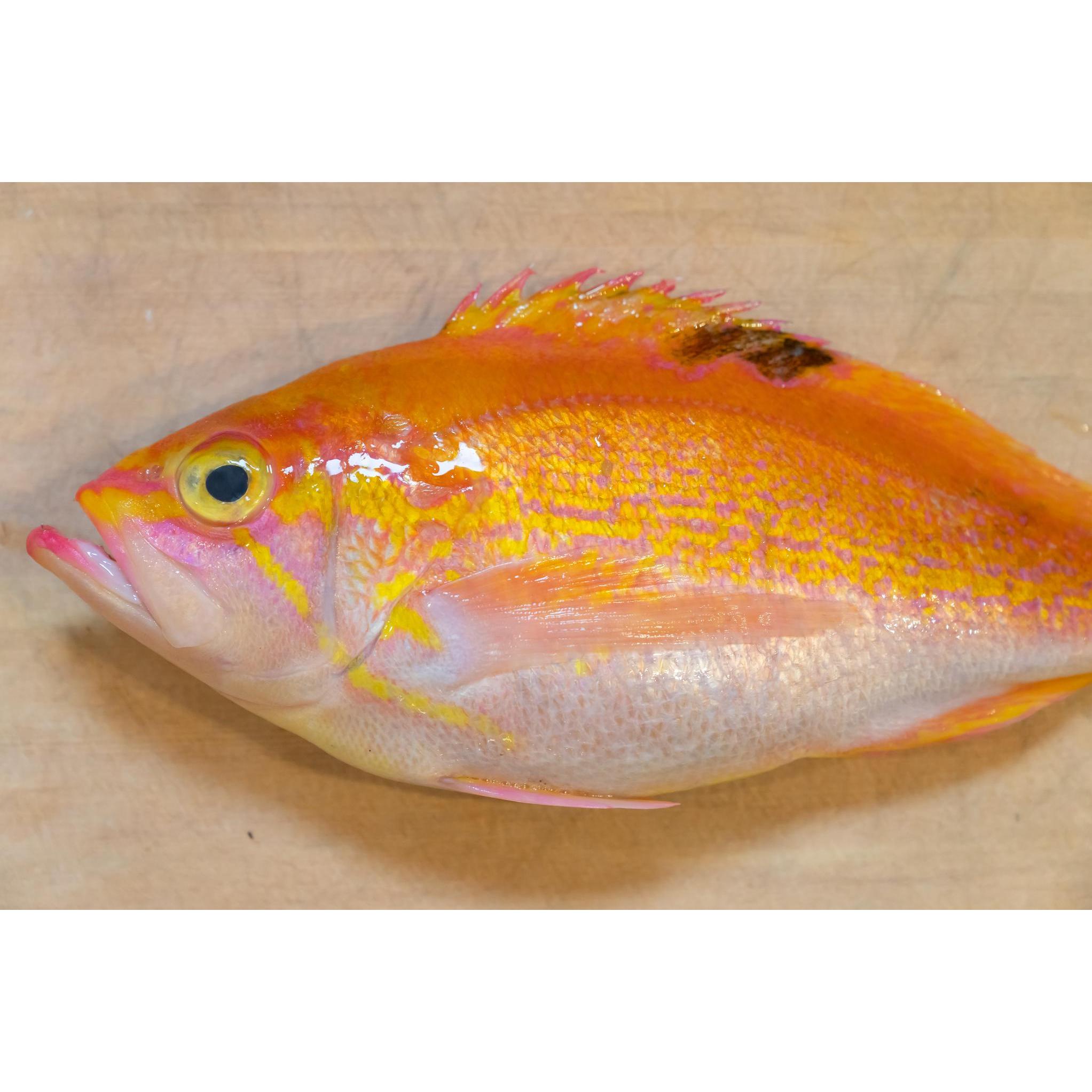 Get Aka Isaki 2.0lbs Delivered | Weee! Asian Market