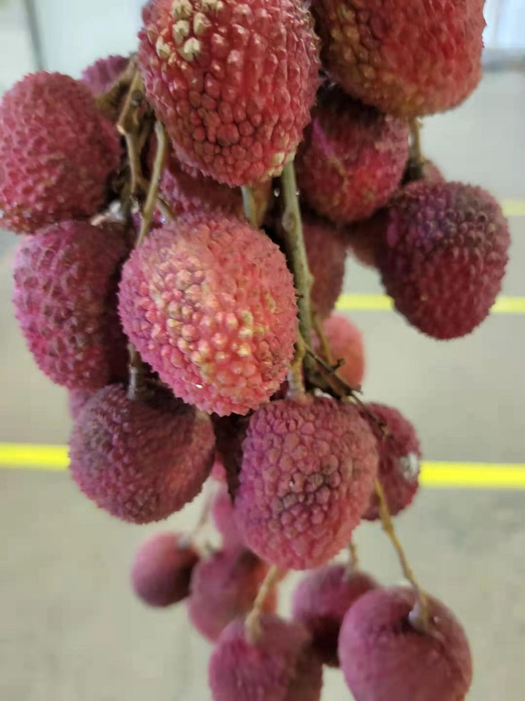 Florida Lychee with Stem - Weee!