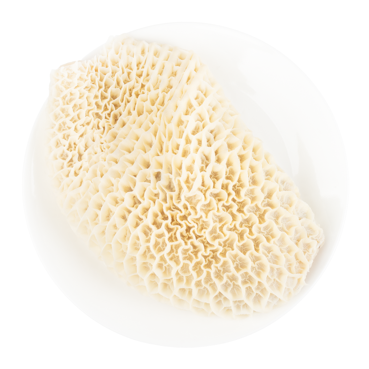 Get Beef Honeycomb Tripe, Frozen Delivered | Weee! Asian Market