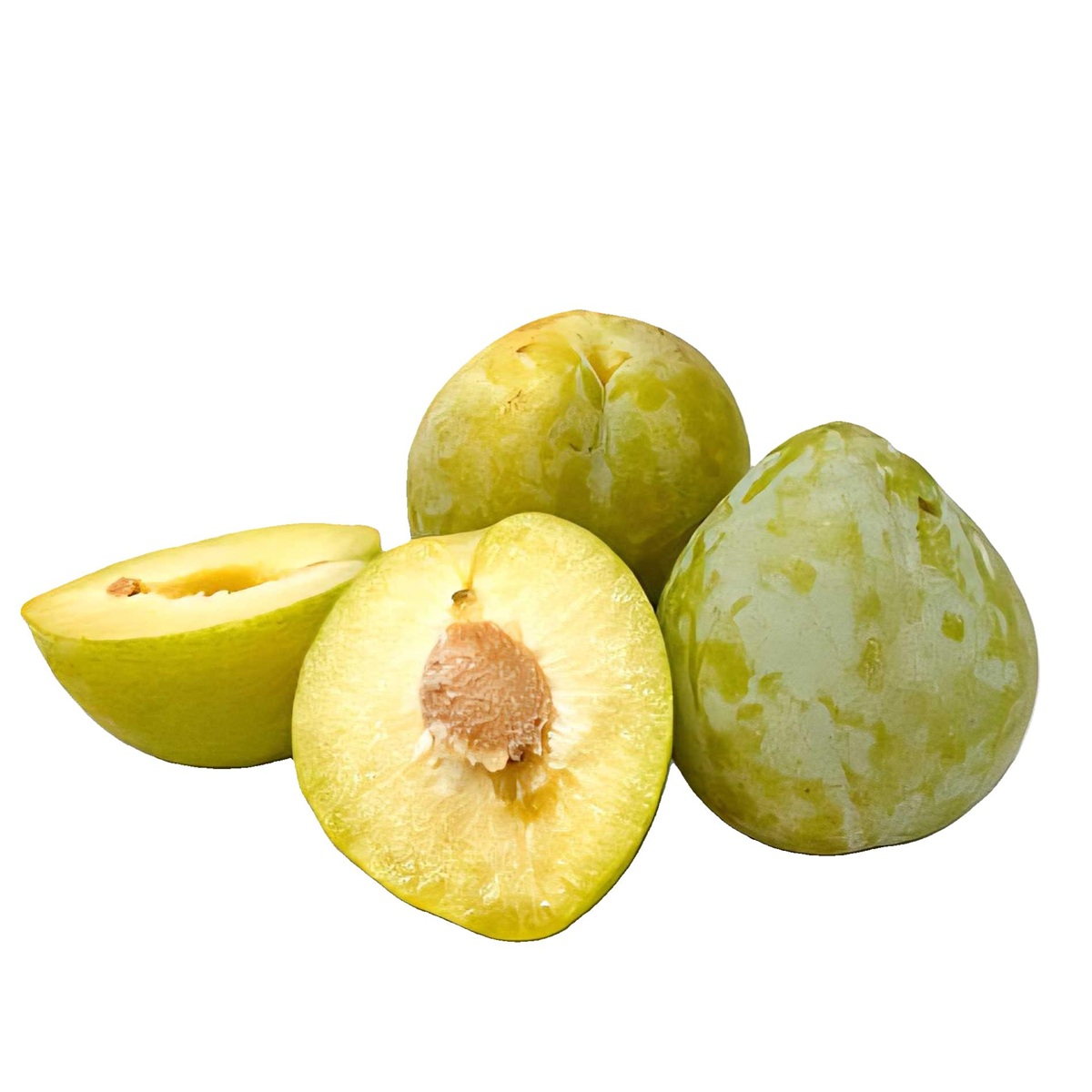 Emerald Beaut Plum 2.8-3.2 磅 - Weee!