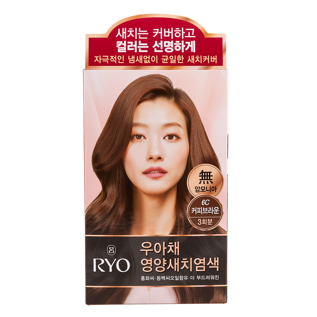 Get Ryo Bright Color Hair Dye Cream Coffee Brown #6C 120 g Delivered ...