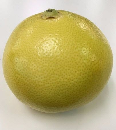 Melogold Grapefruit - Weee!