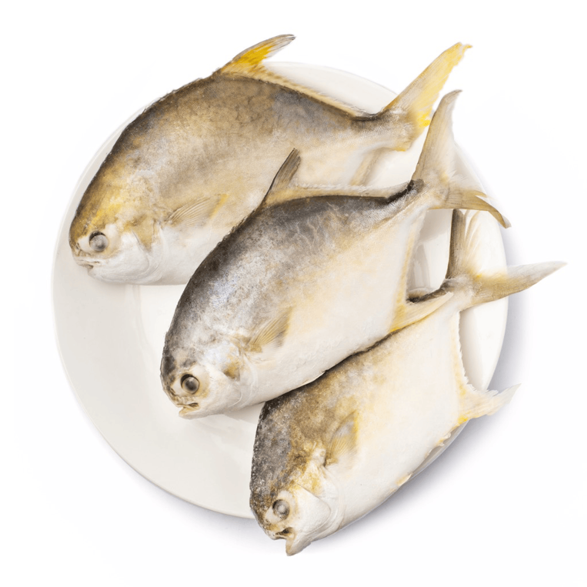 Get Talassa Golden Pompano, Frozen 3 lb Delivered | Weee! Asian Market