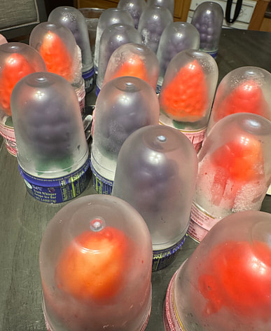 Where to buy Propitious Mango ice cream?| Weee! grocery delivery