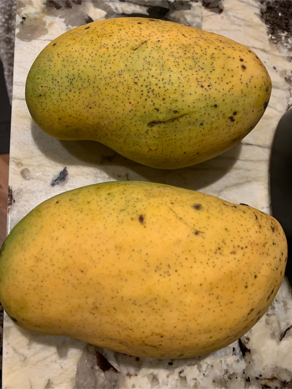 Francis Mango