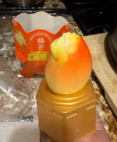 Buy Mango Propitious Ice Cream near me with free delivery