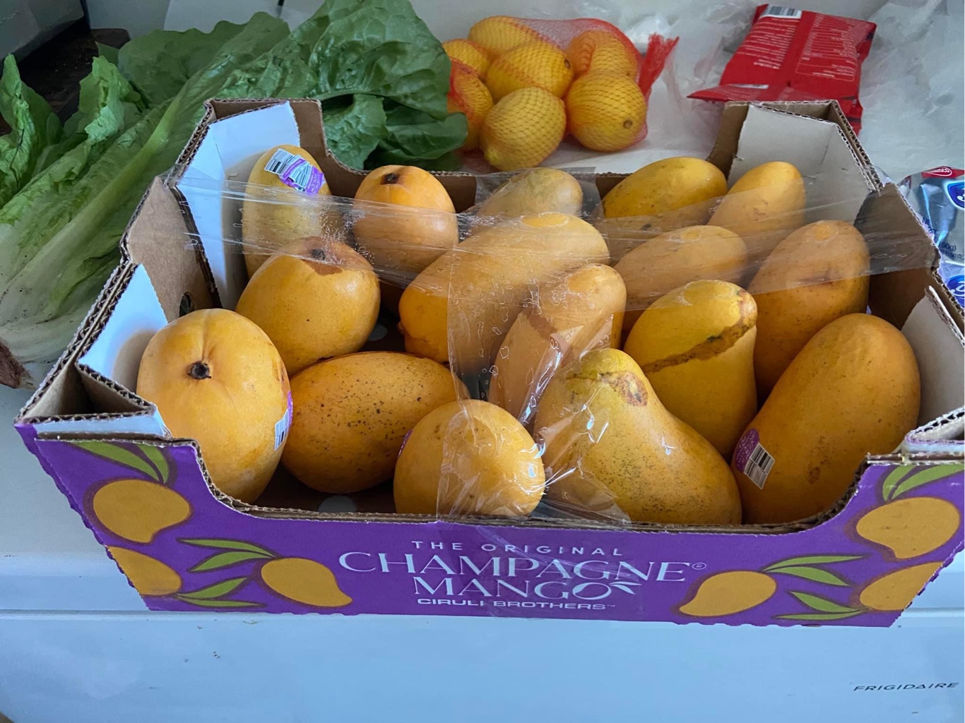 Champagne Mango Tree