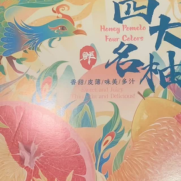 Four famous grapefruit gift box