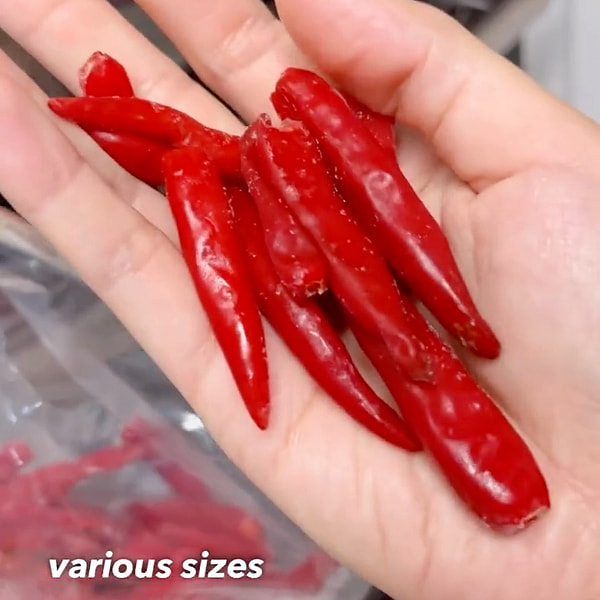 MV Frozen Red Chili 🌶️
