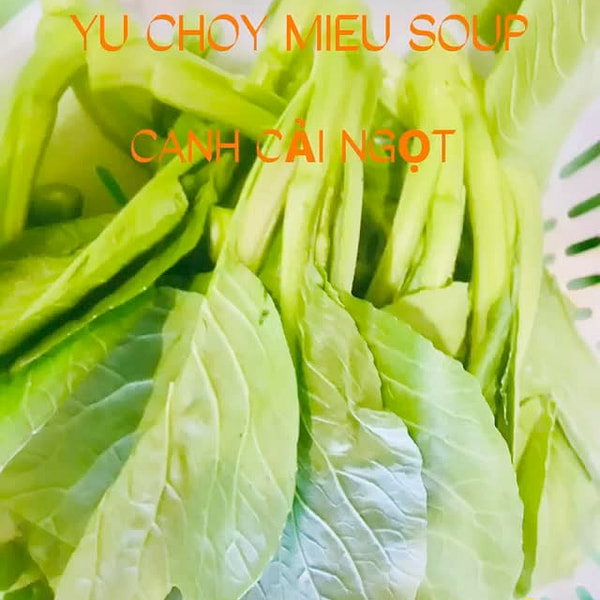 🥬🥬🥬🥬🥬 YU CHOY MIEU WITH GROUND PORK 🥬🥬🥬🥬🥬