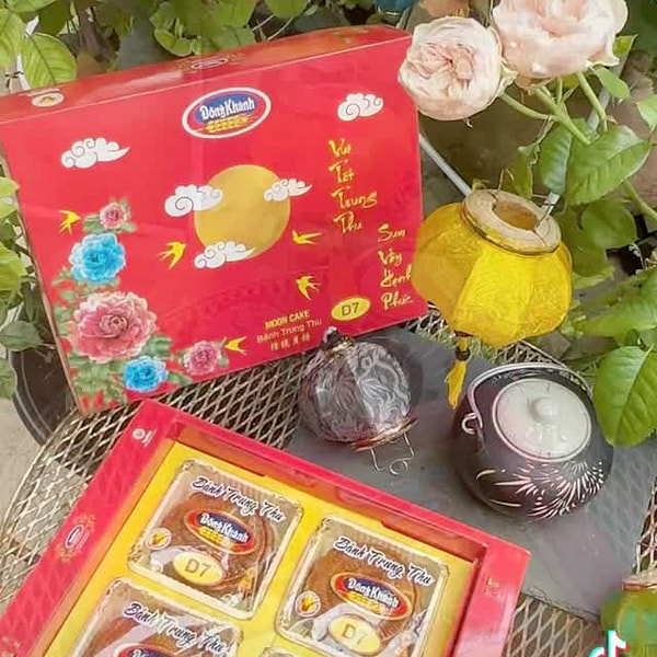 Tasting DongKhanh mix nuts moon cake