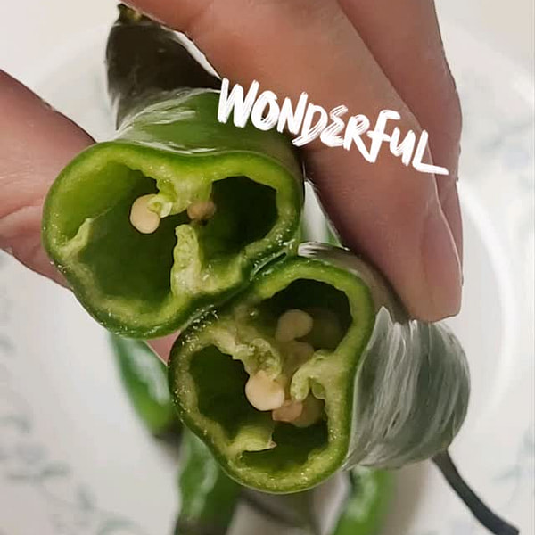 Korean Green Pepper 1 pound